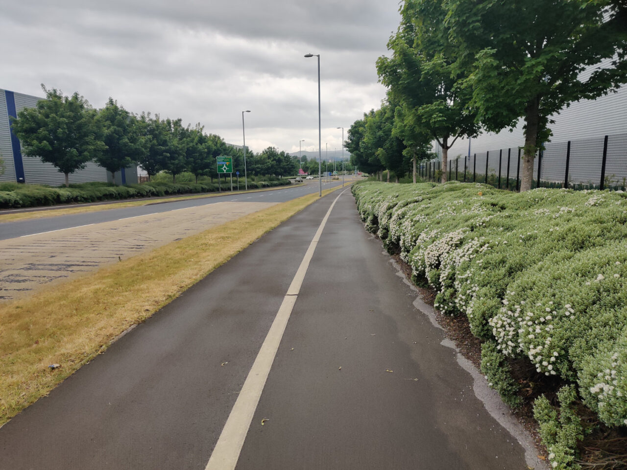 Running 100km in a Month • A Single Step